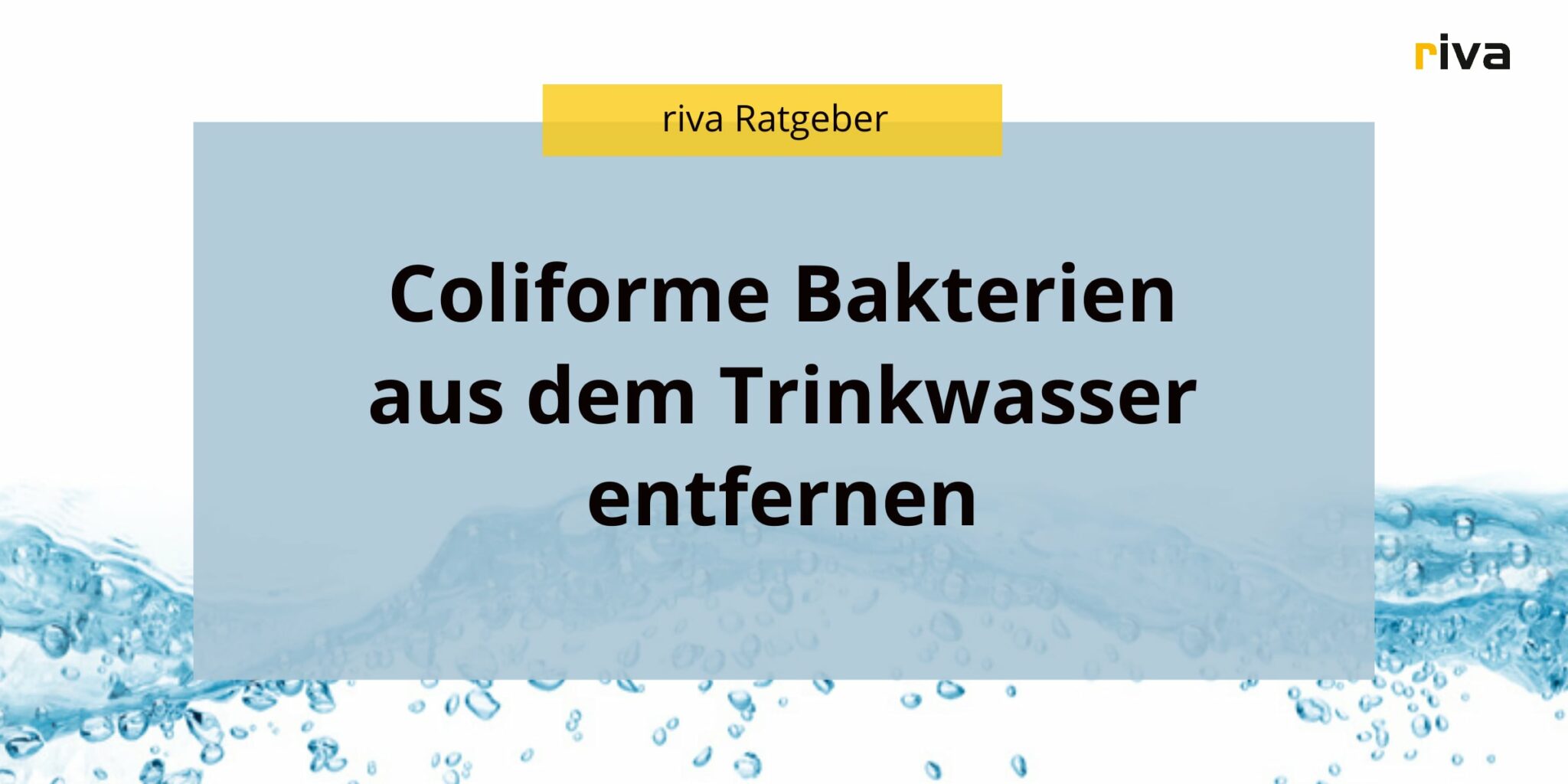 Coliforme Bakterien im Trinkwasser: Was kann man tun?